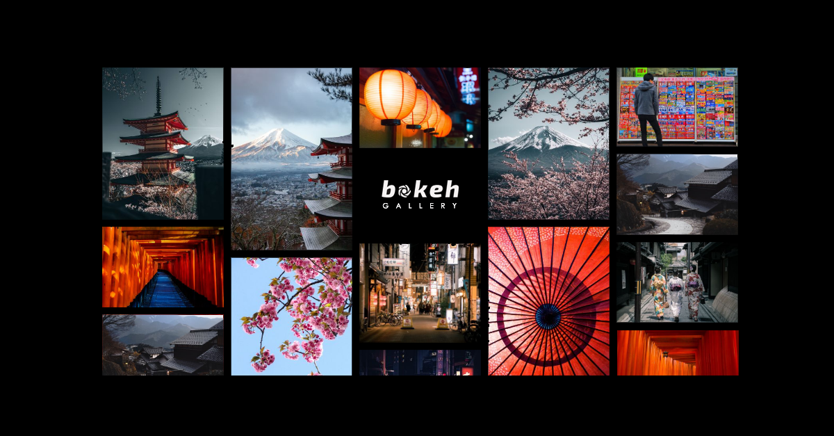 Bokeh Gallery Application